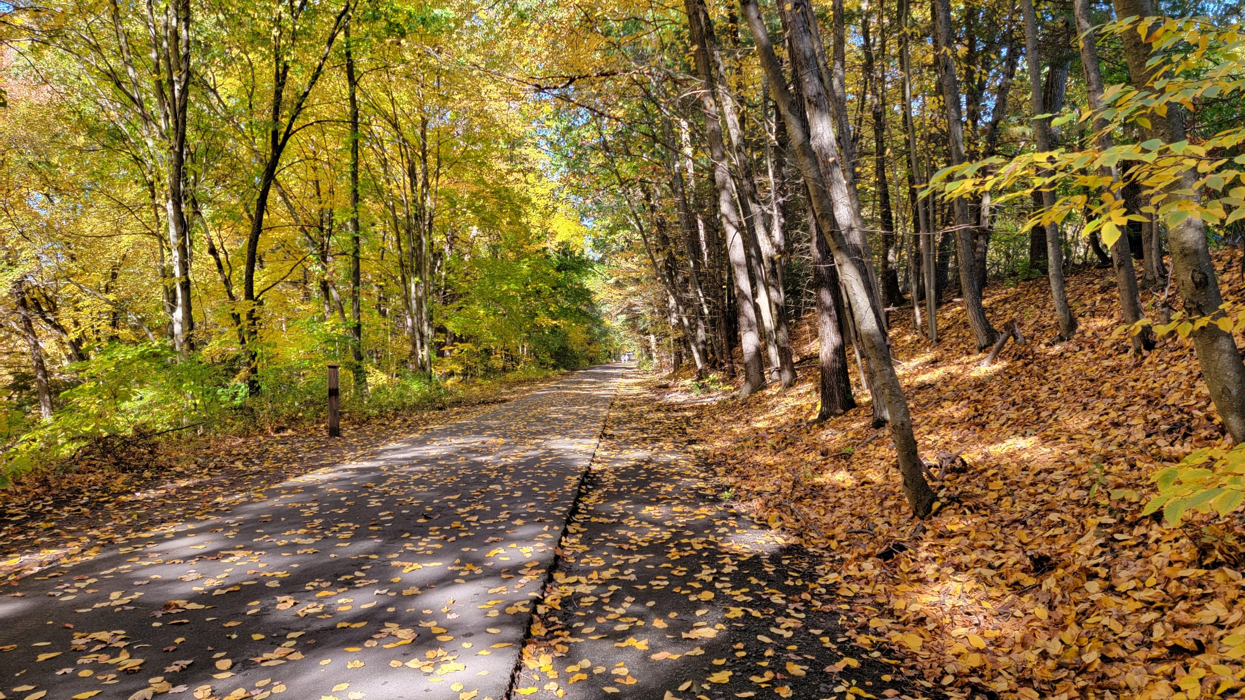 Farmington Canal Heritage Trail & Farmington River Trail