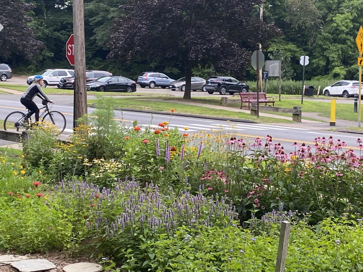 Farmington Canal Heritage Trail & Farmington River Trail